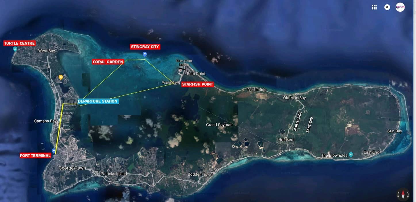 Stingray feeding frenzy in the Cayman Islands - Blogger at Large