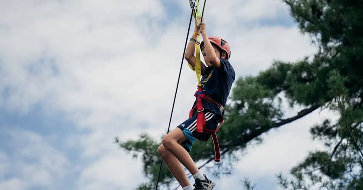 Soaring through the treetops of Tree Adventures in Woodhill Forest ...
