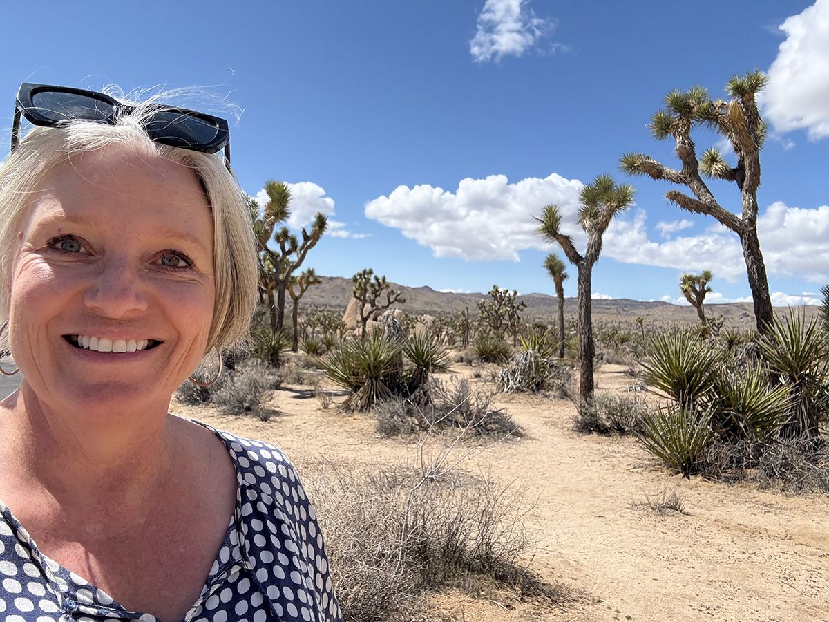 12 Things to do in Palm Springs California - Blogger at Large