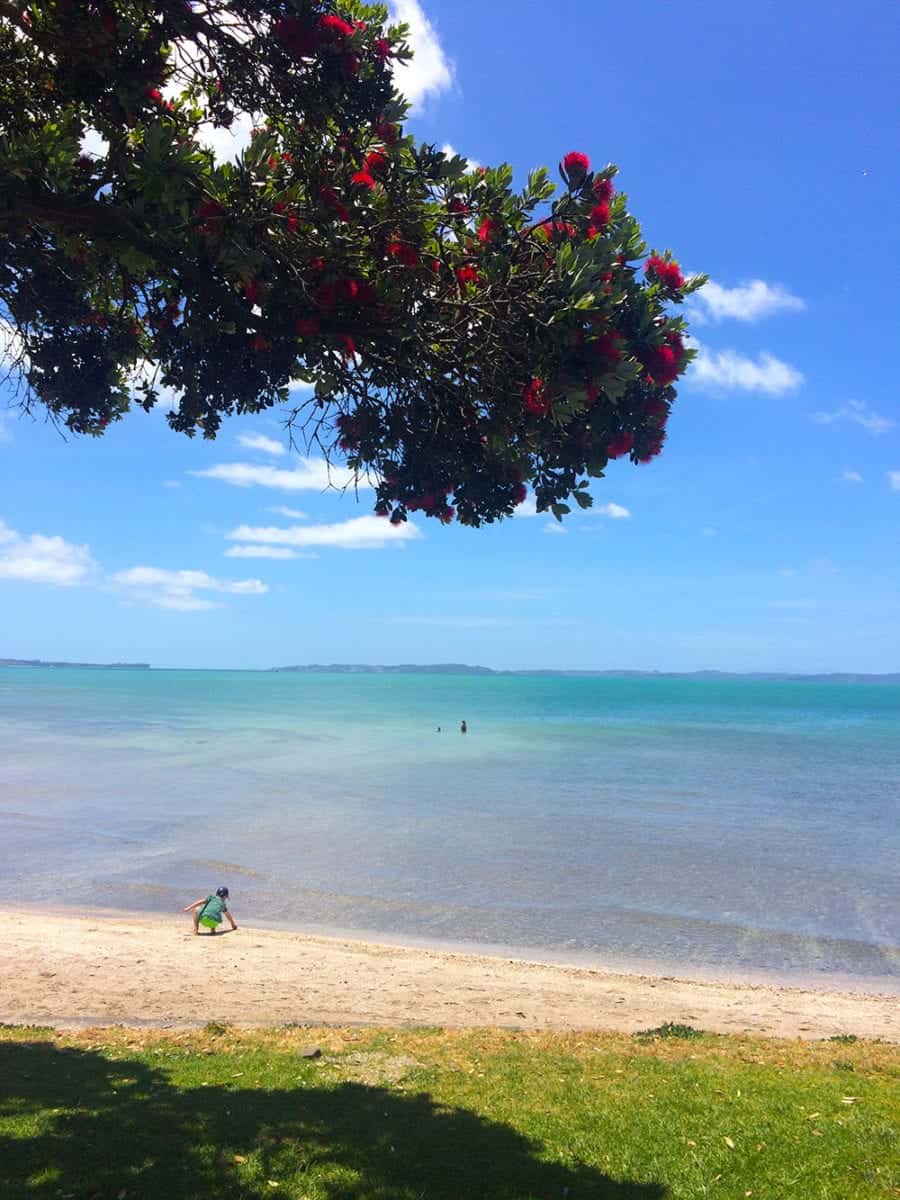 The ultimate New Zealand itinerary