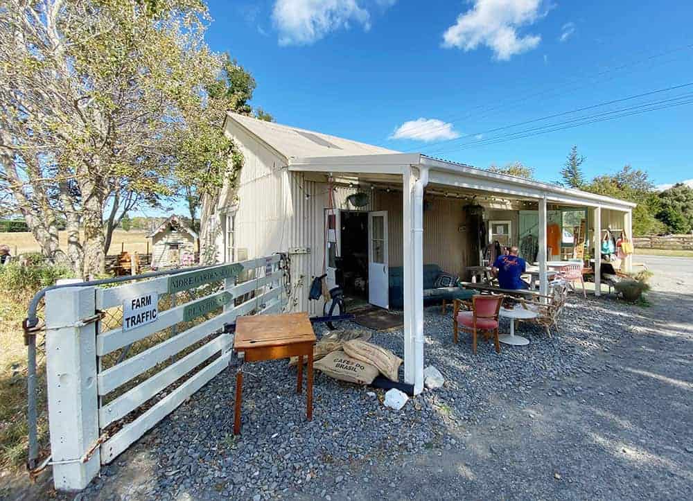 Martinborough's Best Kept Secrets: Fun Things to Explore - Blogger at Large