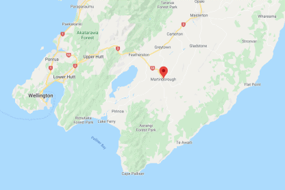 Martinborough's Best Kept Secrets: Fun Things to Explore - Blogger at Large