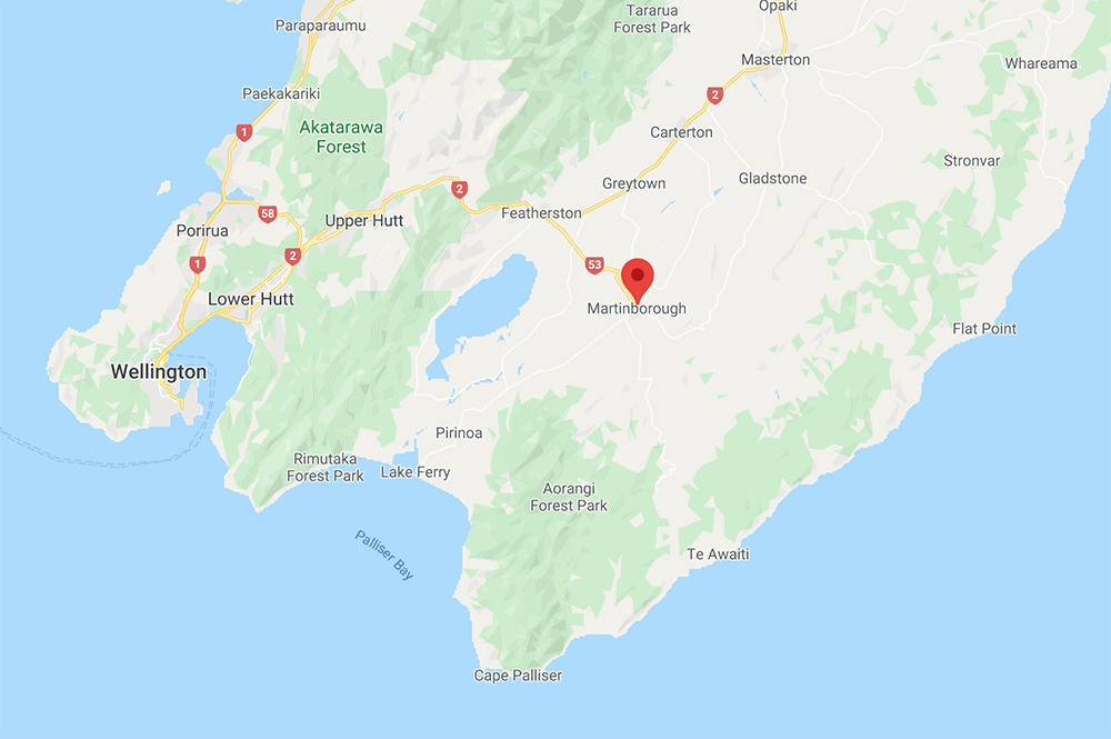 Martinborough's Best Kept Secrets: Fun Things to Explore - Blogger at Large