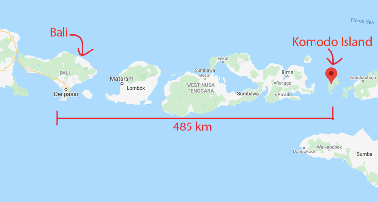 Walking with Komodo Island dragons! - Blogger at Large