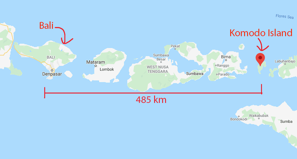 Walking with Komodo Island dragons! - Blogger at Large