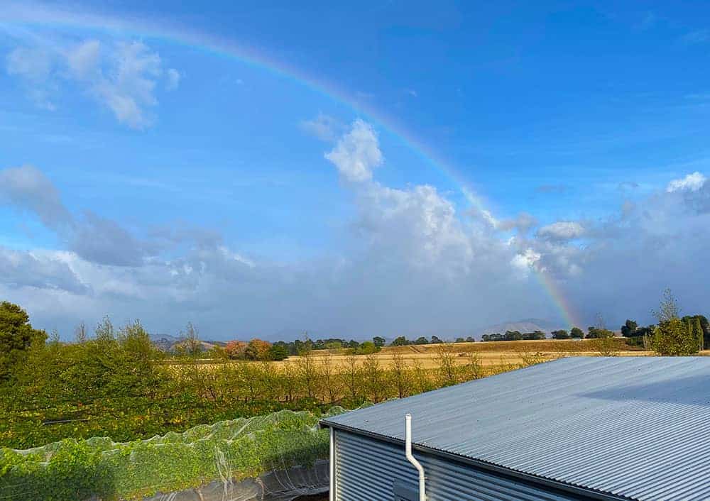 Things to do in Masterton - Blogger at Large