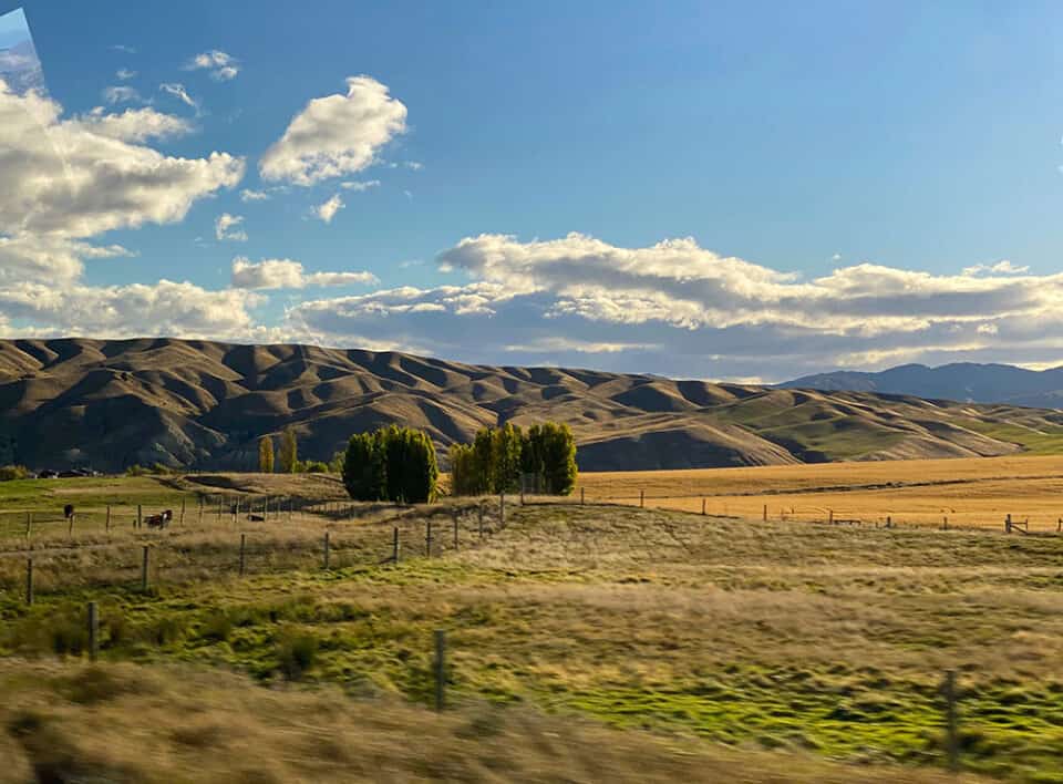 Day trip from Clyde: Exploring the Maniototo - Blogger at Large