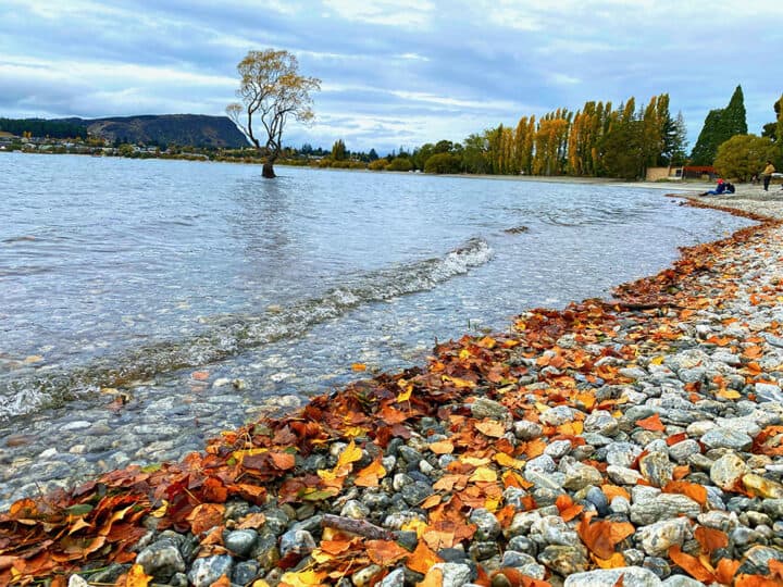 Exploring Queenstown to Wanaka - in 5 days!