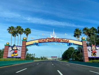 How to visit Disney World, Orlando like a local! - Blogger at Large