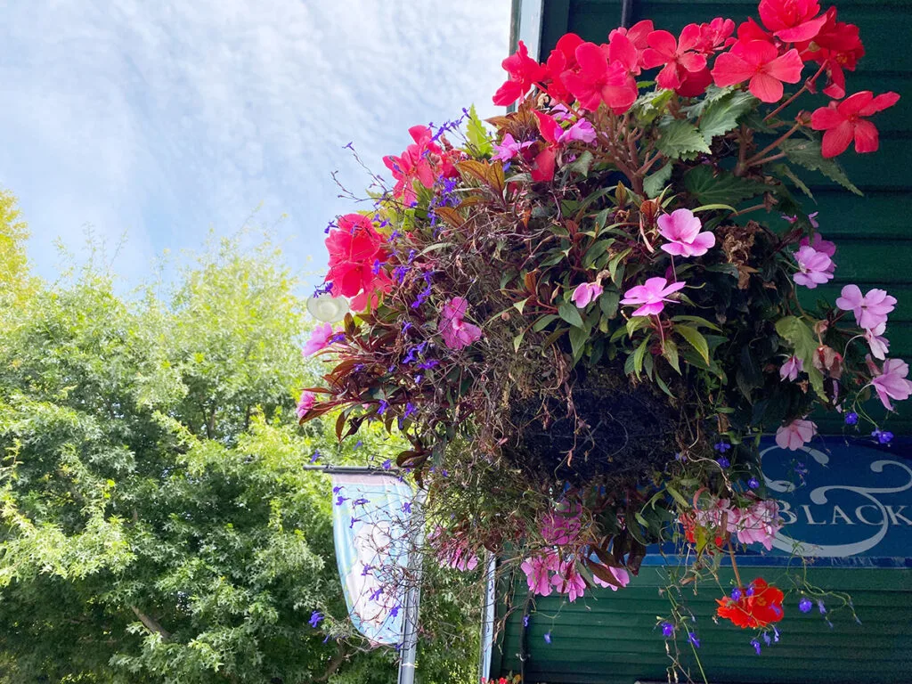 New Zealand: A fabulous west coast itinerary - Blogger at Large