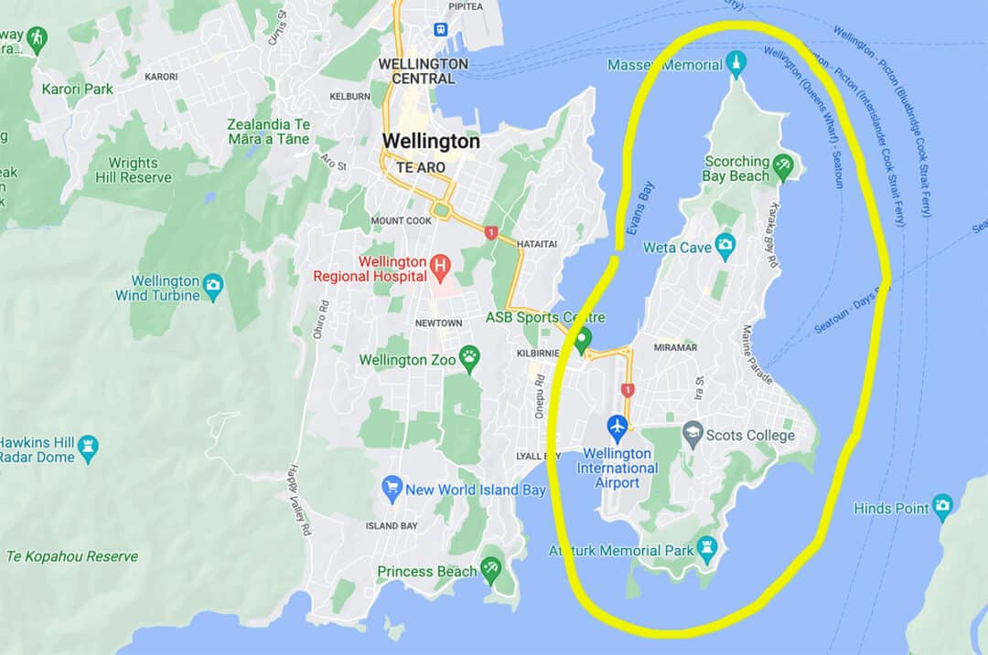 Things to do in Wellington you won't find in the Guide Books! - Blogger ...