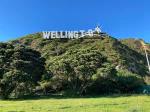 Things to do in Wellington you won't find in the Guide Books! - Blogger ...