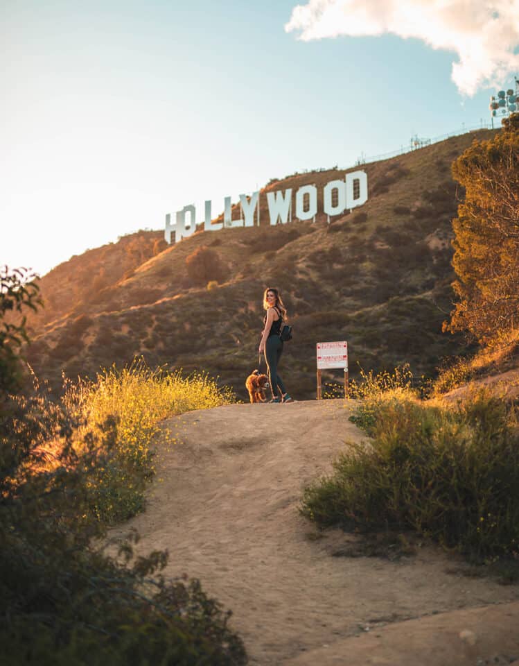 22 things to do in Hollywood