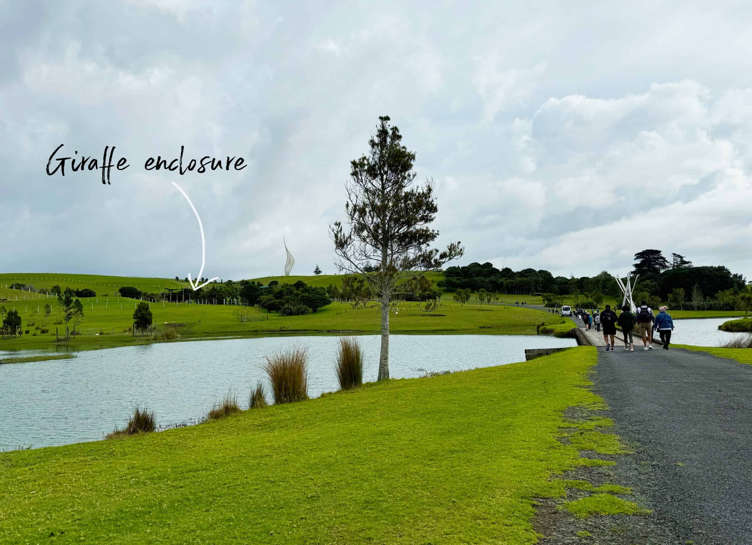 Everything you need to know about visiting Gibbs Farm sculpture park ...