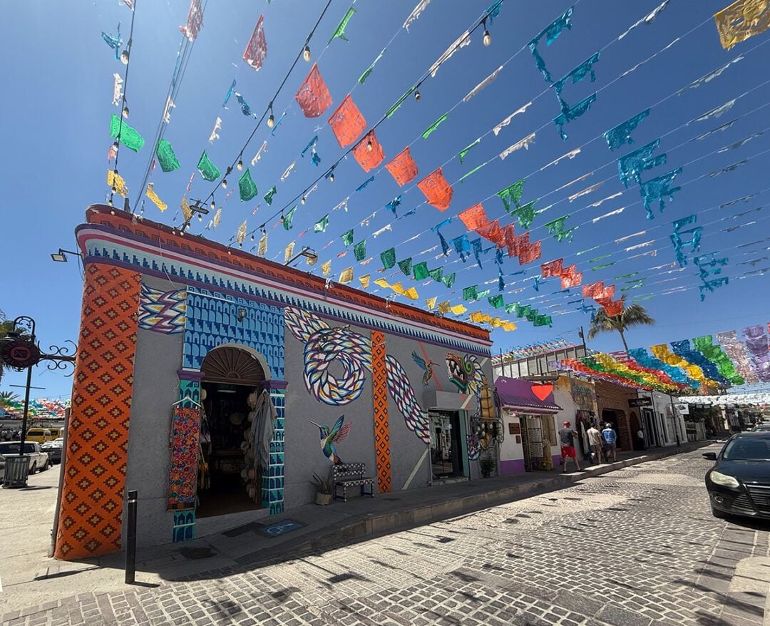Things to do in Los Cabos - Blogger at Large