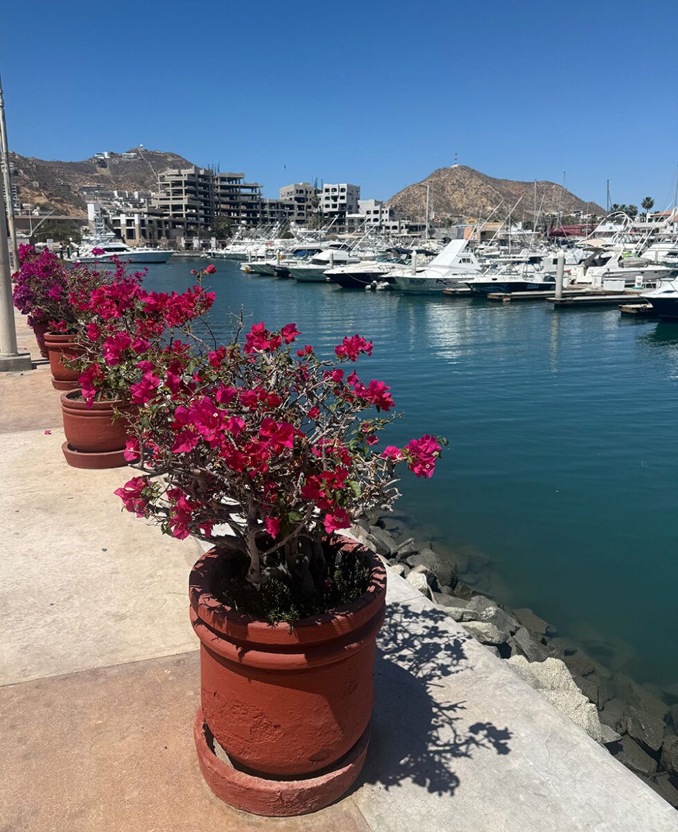 Things to do in Los Cabos - Blogger at Large